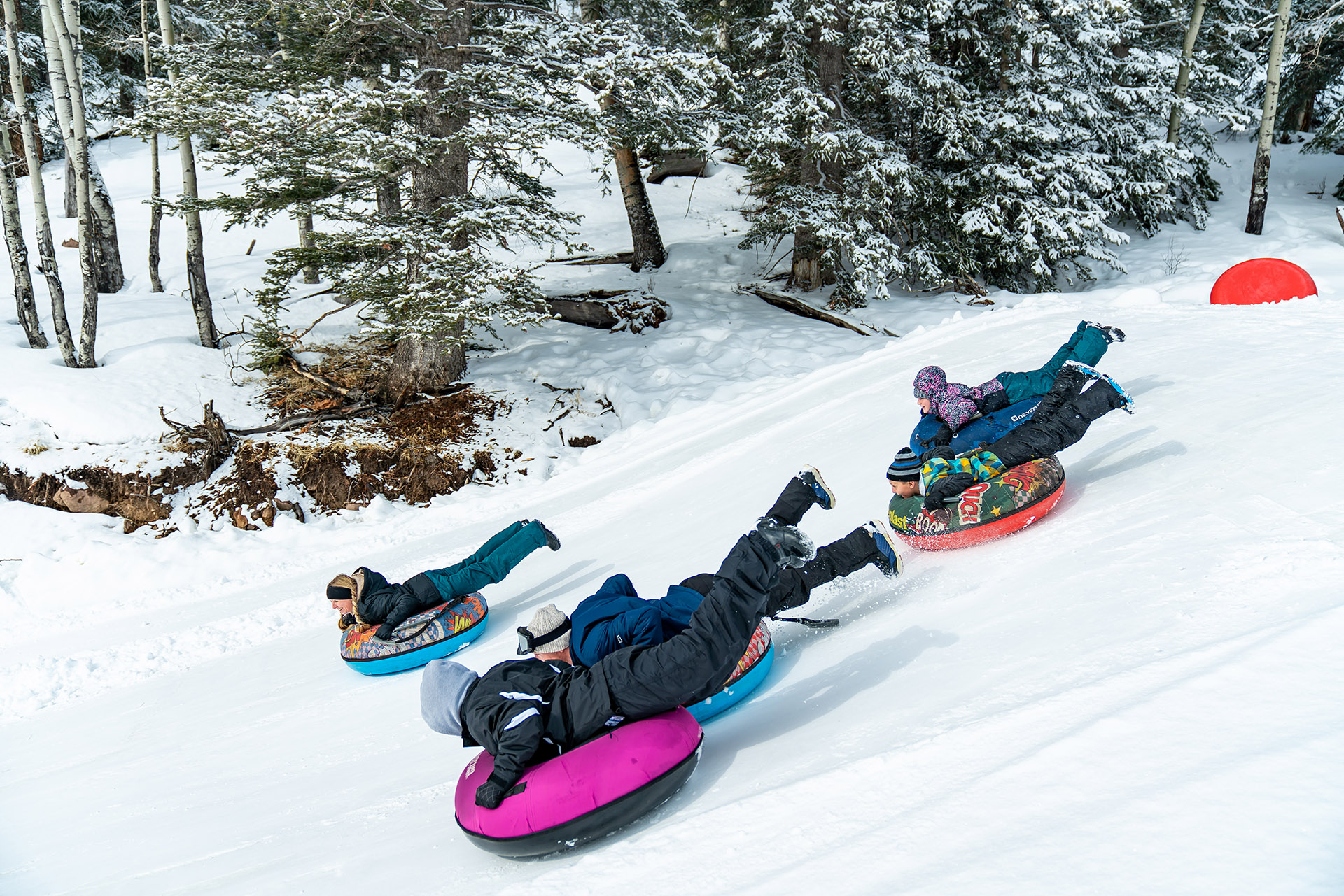 Sunrise Park Resort - Arizona's Ultimate Mountain Adventure and Ski Resort