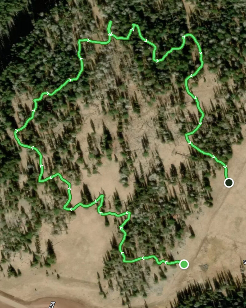 3D - Sunrise Park Resort