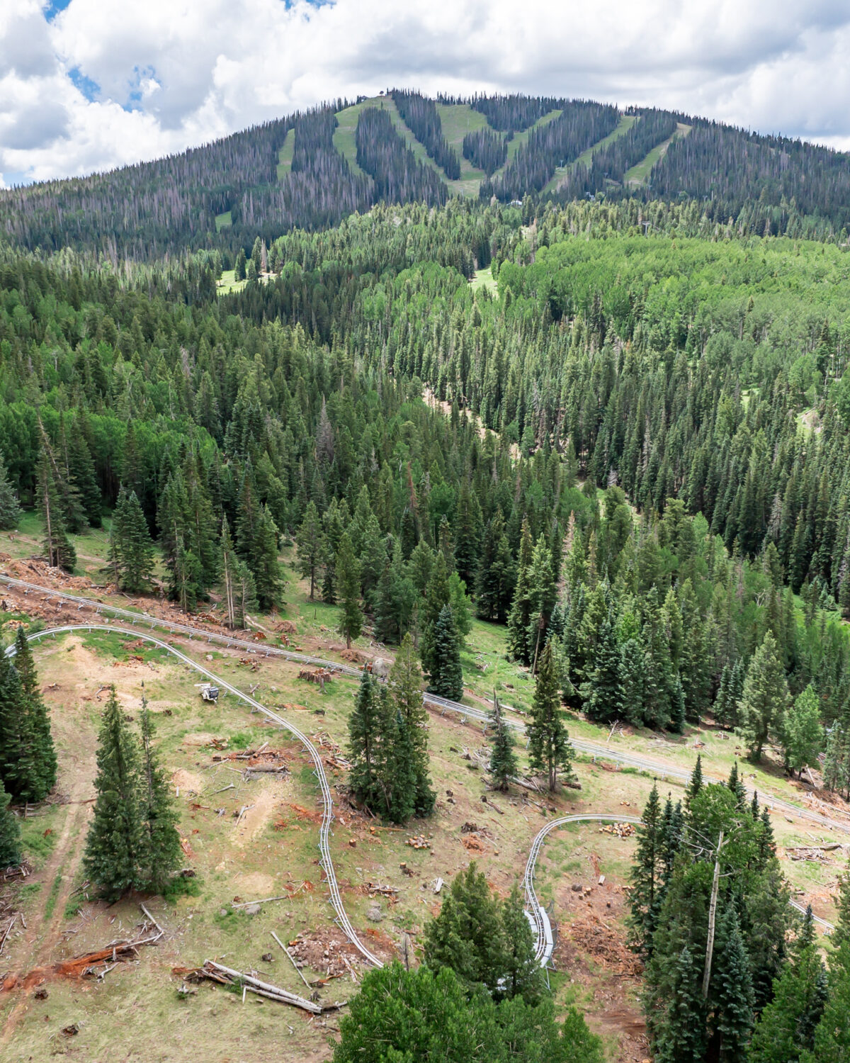 Sunrise Apache Alpine Coaster - Sunrise Park Resort